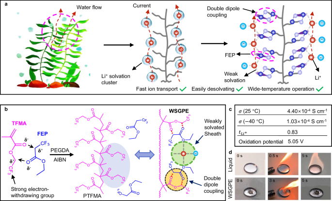 Bioinspired gel polymer electrolyte for wide temperature lithium metal ...