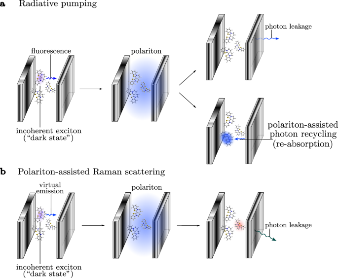 Radiative pumping vs vibrational relaxation of molecular polaritons: a ...