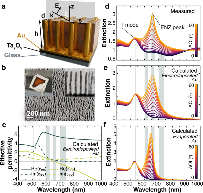 Longitudinal field controls vector vortex beams in anisotropic epsilon ...