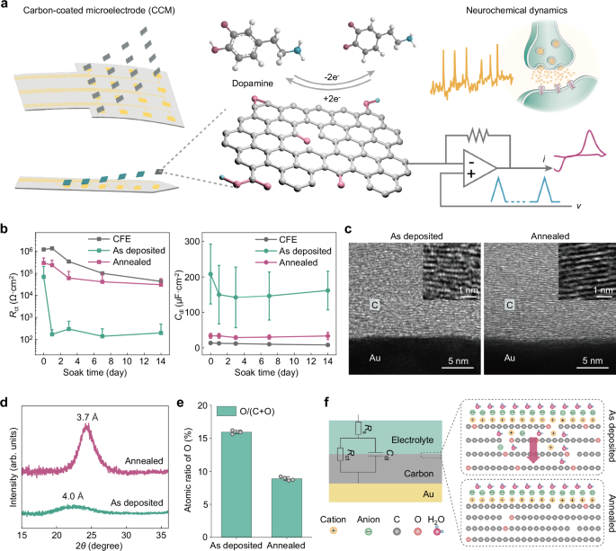 Stabilized carbon coating on microelectrodes for scalable and ...