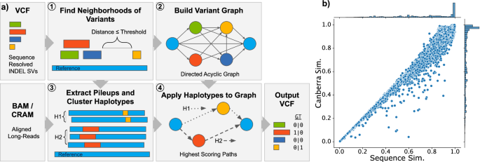 K-mer analysis of long-read alignment pileups for structural variant ...