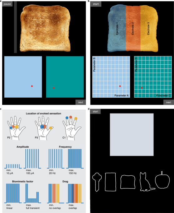 Conveying tactile object characteristics through customized ...