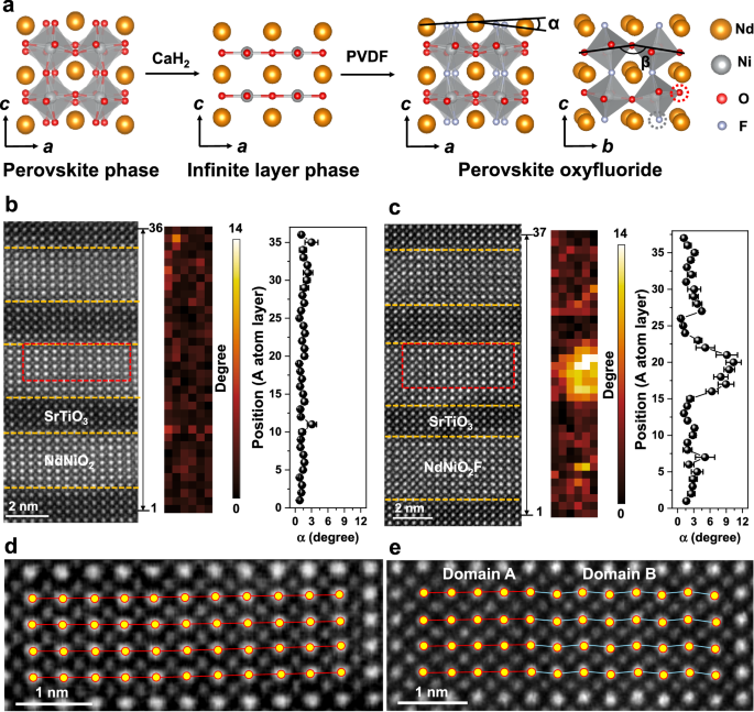 Atomic-scale observation of geometric reconstruction in a fluorine ...