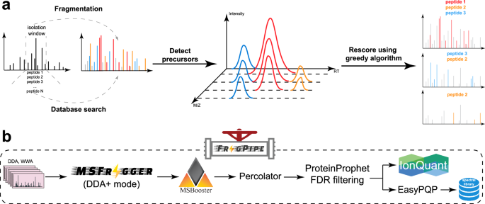 MSFragger-DDA+ enhances peptide identification sensitivity with full ...