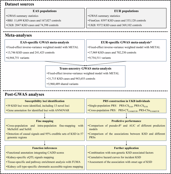 Trans-ancestry GWAS identifies 59 loci and improves risk prediction and ...