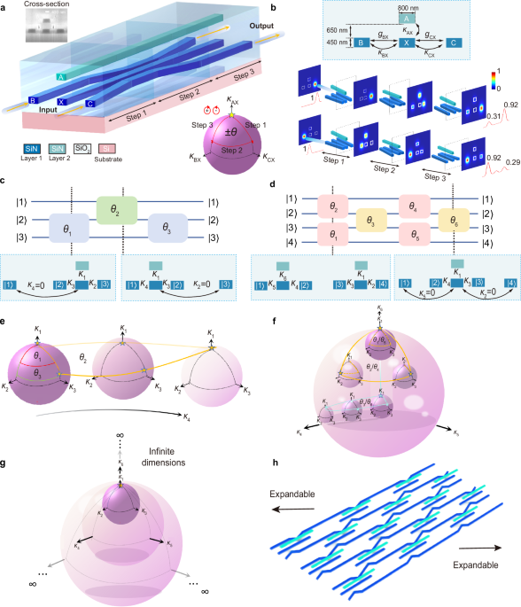 High-dimensional non-Abelian holonomy in integrated photonics | Nature ...