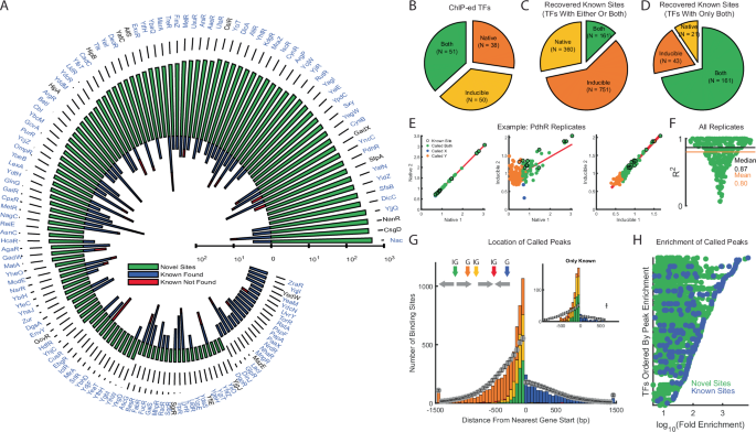 Predictive biophysical neural network modeling of a compendium of in ...
