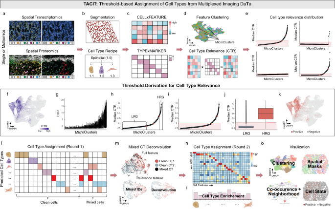 Deconvolution of cell types and states in spatial multiomics utilizing ...