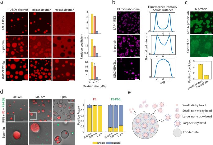 Controlled and orthogonal partitioning of large particles into ...