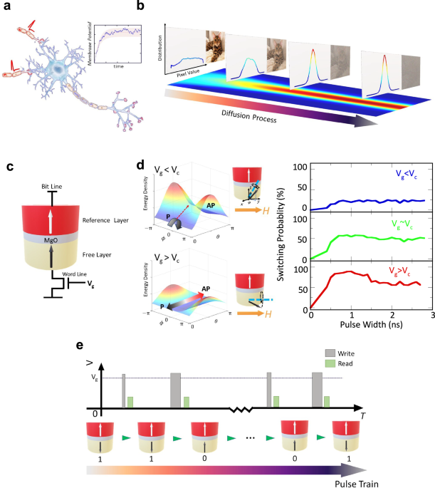 Voltage-controlled magnetoelectric devices for neuromorphic diffusion ...