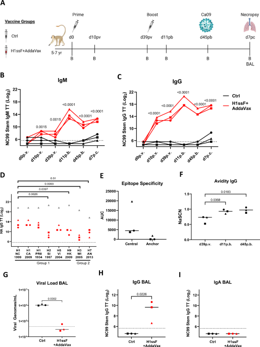 Antibody function predicts viral control in newborn monkeys immunised ...