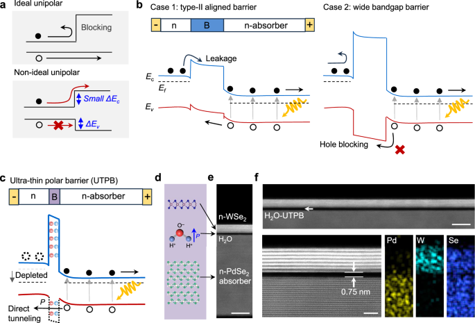 Sub-pA dark current infrared photodetection enabled by polarized water ...