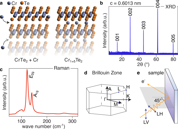Bilayer orthogonal ferromagnetism in CrTe2-based van der Waals system ...