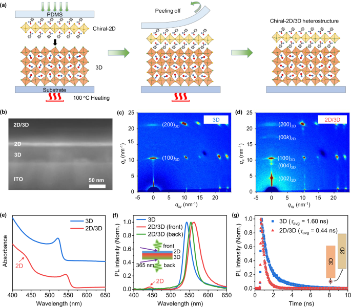 Spin detector for panchromatic circularly polarized light detection ...