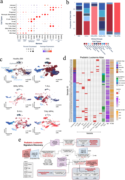 Identification of leukemia-enriched signature through the development ...