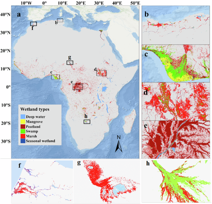 Wetland fragmentation associated with large populations across Africa ...