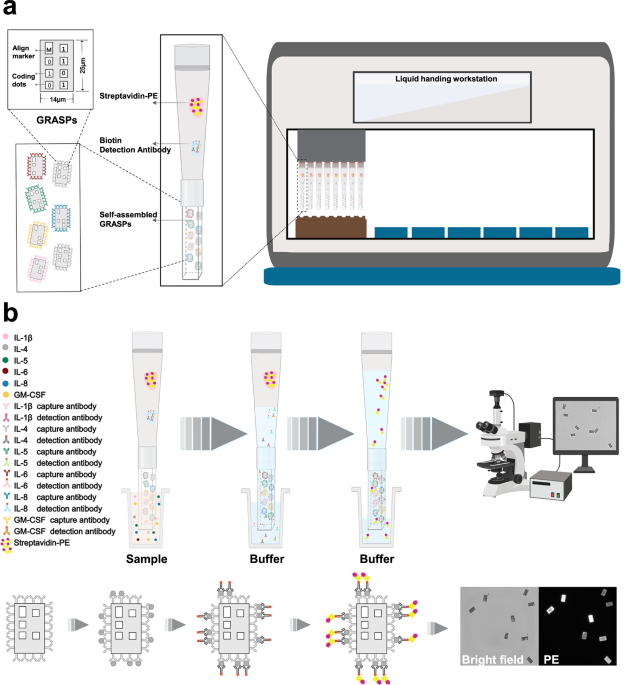 Lab-in-a-Tip: a multiplex immunoassay platform based on a self ...