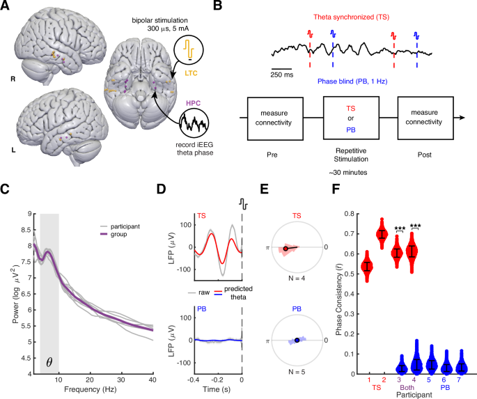 Closed-loop control of theta oscillations enhances human hippocampal ...