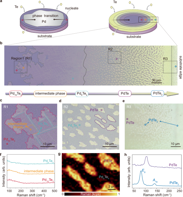 Stoichiometry-engineered phase transition in a two-dimensional binary ...