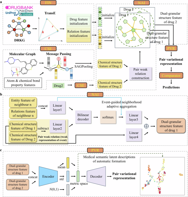 Predicting rare drug-drug interaction events with dual-granular ...