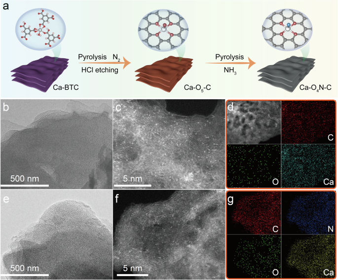 Axial ligand induces the charge localization of Ca single-atom sites ...