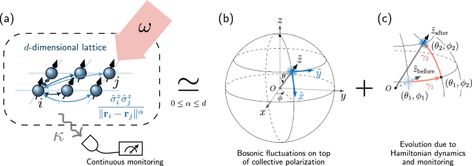 Monitored long-range interacting systems: spin-wave theory for quantum trajectories | Nature ...