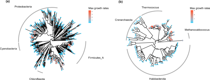 Improved maximum growth rate prediction from microbial genomes by ...