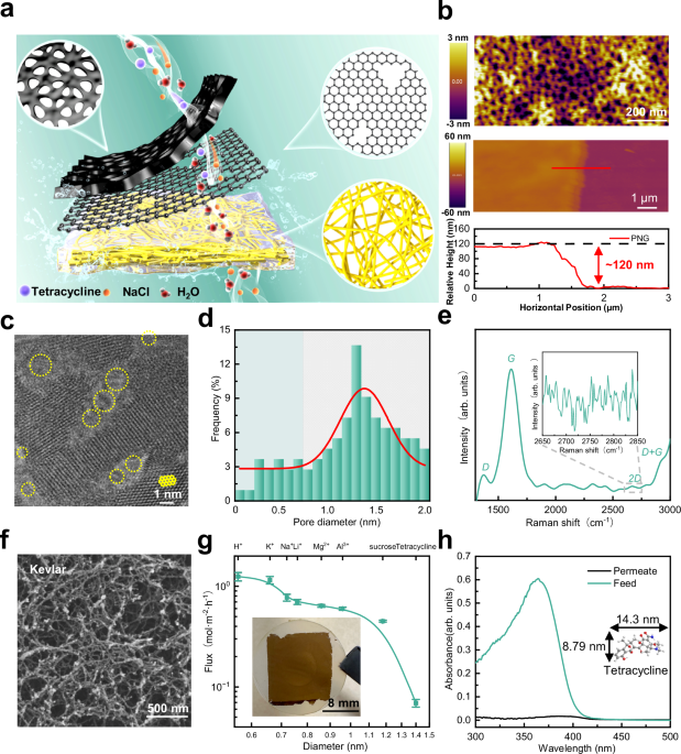 A molecularly engineered large-area nanoporous atomically thin graphene ...