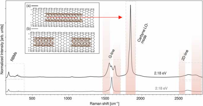 Anharmonic effects control interaction of carbyne confined in carbon ...