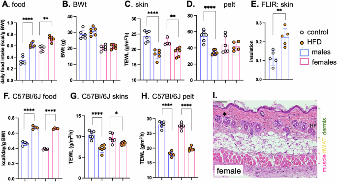 Dietary lipids are largely deposited in skin and rapidly affect ...