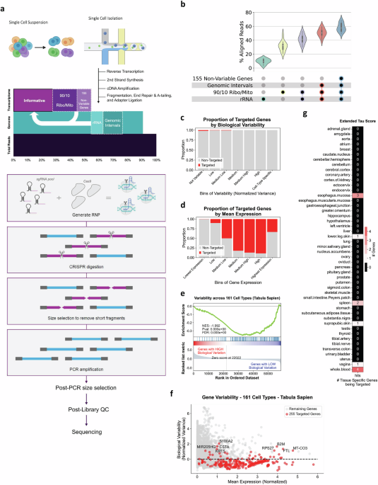 A CRISPR/Cas9-based enhancement of high-throughput single-cell transcriptomics | Nature ...
