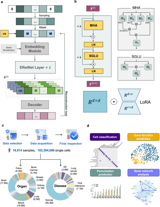 CellFM: a large-scale foundation model pre-trained on transcriptomics ...