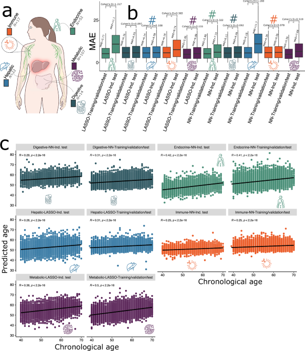 Multi-organ metabolome biological age implicates cardiometabolic ...