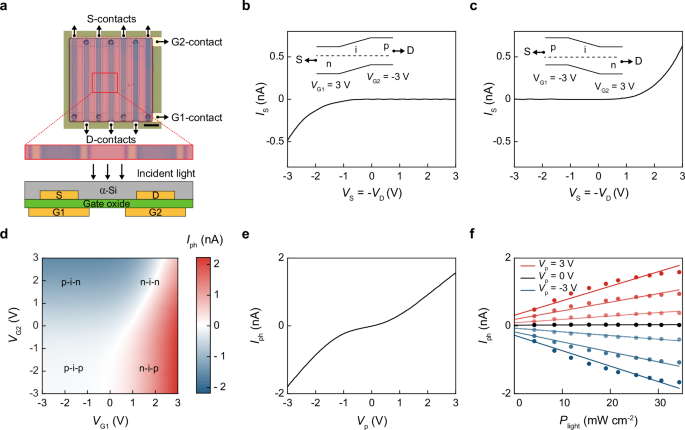 Parallelizing analog in-sensor visual processing with arrays of gate ...