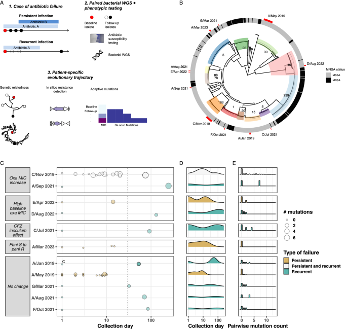 A multi-hospital, clinician-initiated bacterial genomics programme to ...