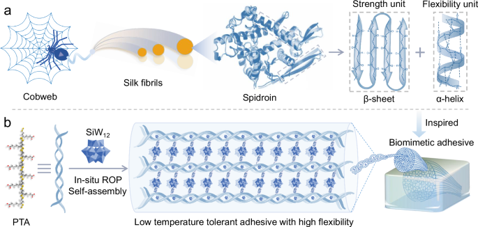 An in-situ assembled cobweb-like adhesive with high processability ...