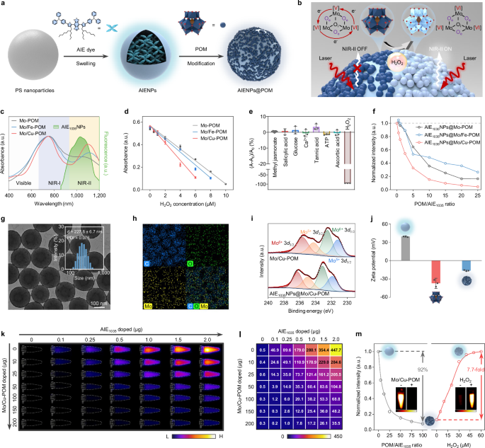 Machine learning-powered activatable NIR-II fluorescent nanosensor for ...