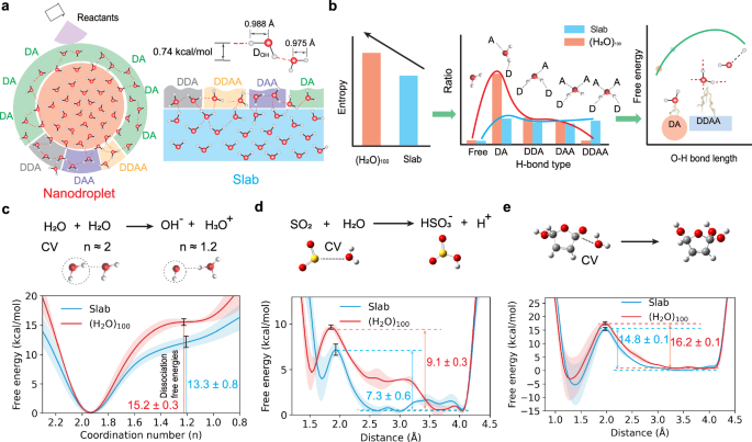 Entropy-driven difference in interfacial water reactivity between slab and nanodroplet | Nature ...