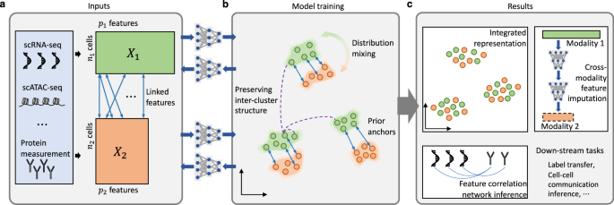 scMODAL: a general deep learning framework for comprehensive single-cell multi-omics data ...