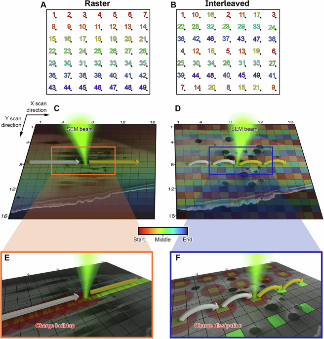 Reduction of SEM charging artefacts in native cryogenic biological ...