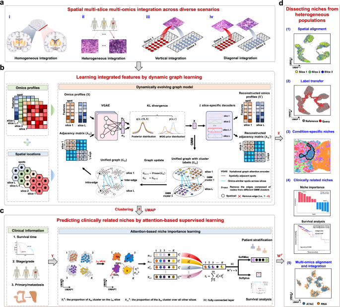 stClinic dissects clinically relevant niches by integrating spatial ...