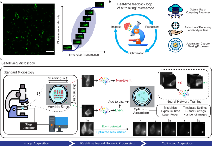 Self-driving microscopy detects the onset of protein aggregation and enables intelligent ...