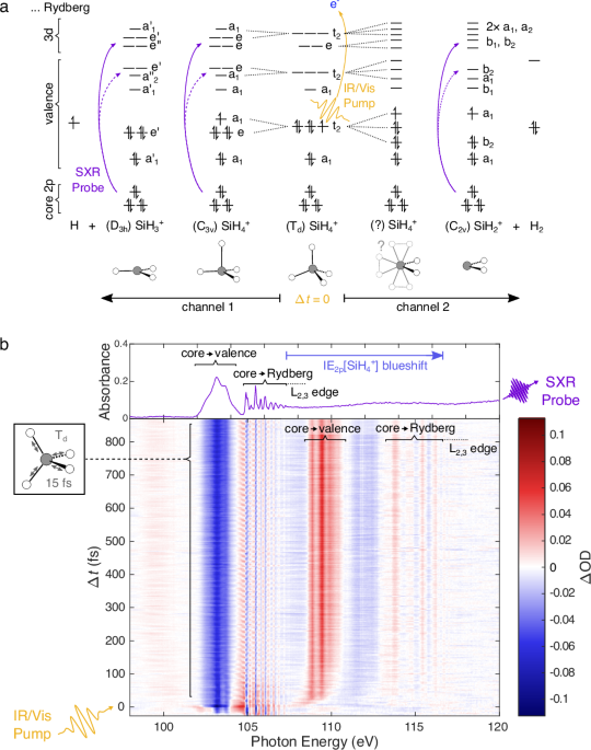 Attosecond X-ray spectroscopy reveals the competing stochastic and ...