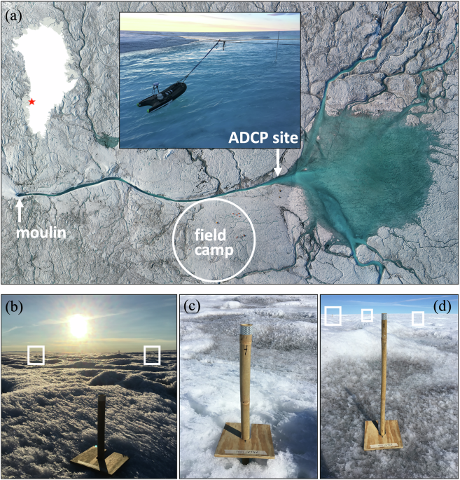 Greenland ice sheet runoff reduced by meltwater refreezing in bare ice ...