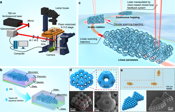 Light-driven lattice soft microrobot with multimodal locomotion ...