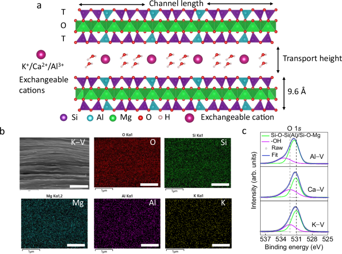 Interaction-driven giant electrostatic modulation of ion permeation in ...
