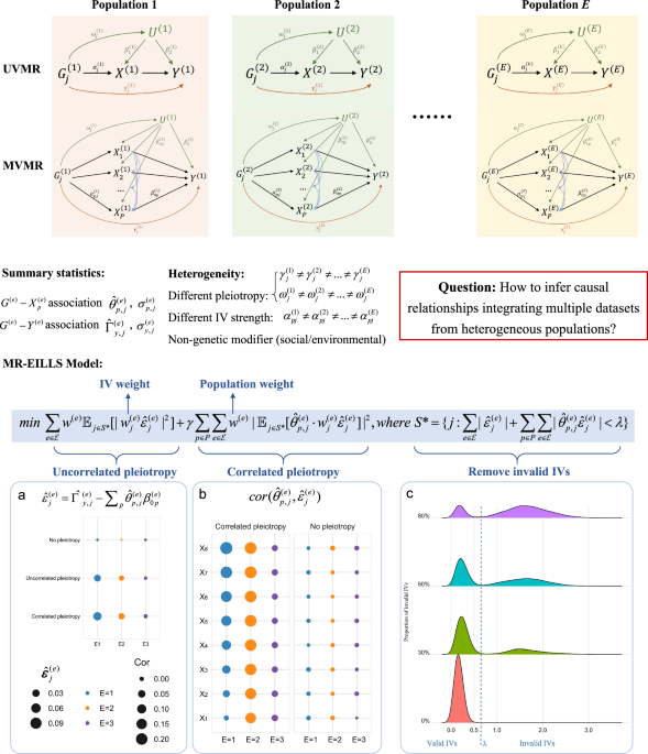 MR-EILLS: an invariance-based Mendelian randomization method integrating multiple heterogeneous ...