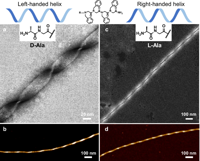 Publisher Correction: Assembly of short amphiphilic peptoids into nanohelices with controllable ...