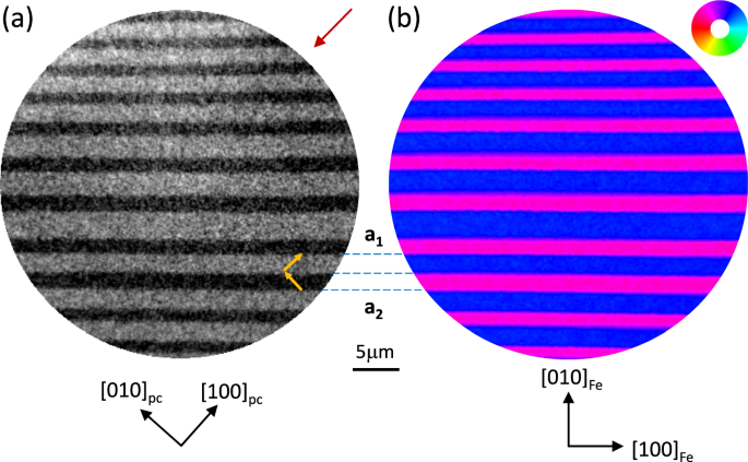 Inverted shear-strain magnetoelastic coupling at the Fe/BaTiO3 ...
