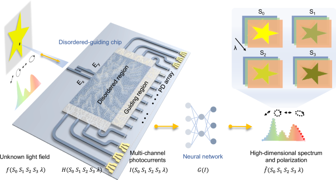 Disordered-guiding photonic chip enabled high-dimensional light field ...